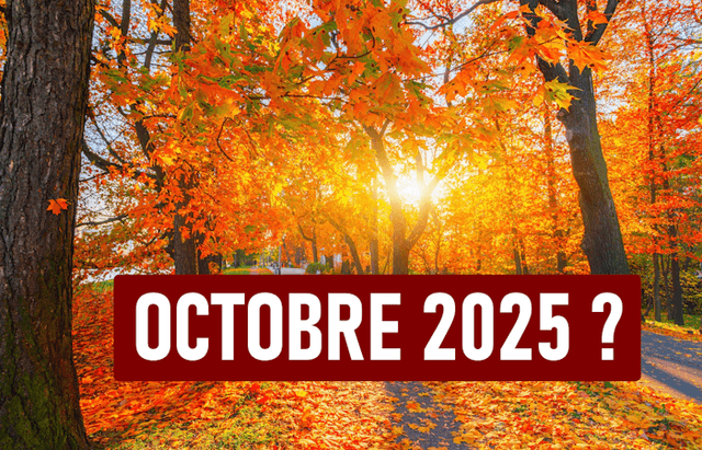 Météo Geneve : prévisions heure par heure sur plus de 15 jours