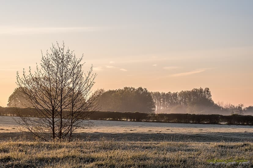 Météo demain à Geneve - Prévisions à 15 jours - 1er site météo pour ...